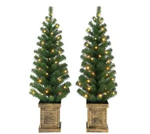 PULEO INTERNATIONAL Puleo Set Of 2, 3.5' B/o Potted Prelit Trees, 9 0 Tips - One-color