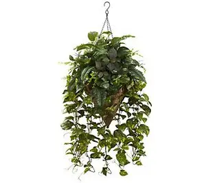 NEARLY NATURAL Mixed Greens With Cone Hanging Basket By - One-color