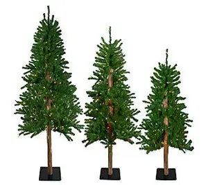 NORTHLIGHT Norhtlight Set Of 3 Pre-lit Slim Alpine Christm S Trees - One-color