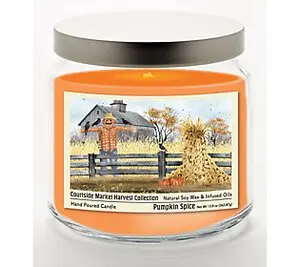 COURTSIDE MARKET Scarecrow 12.8 Oz Candle Glass Jar - One-color
