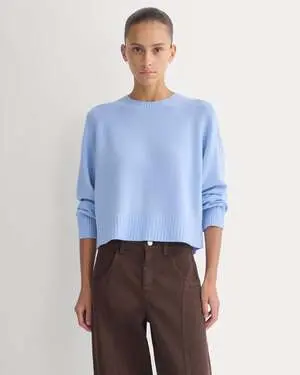 Everlane Boxy Crew Neck Sweater - Blue