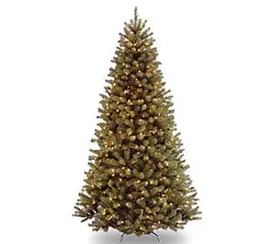 NATIONAL TREE COMPANY 6.5' North Valley Spruce Tree With Clear Lights - One-color