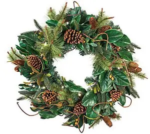 VILLAGE LIGHTING CO. Village Lighting 30' Prelit Led Wreath Magnol Ia Leaf - One-color