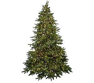 NORTHLIGHT 7.5' Prelit Birch River Fir Tree Ca Dlelight - One-color