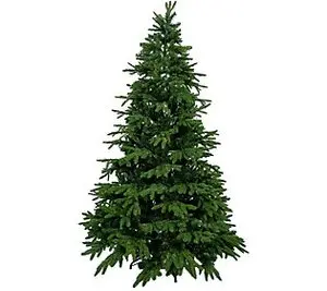 NORTHLIGHT 7.5' Prelit Birch River Fir Tree Ca Dlelight