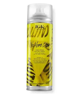 IGK No More Blow High Speed Air Dry Spray