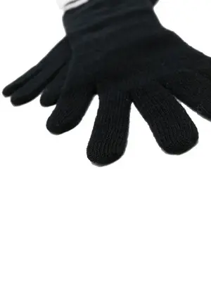 Alberta Ferretti Long Knit Gloves