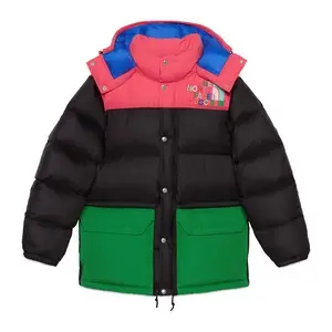 Gucci The North Face X Down Jacket