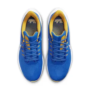 Nike College Pegasus 39 Road Running Shoes