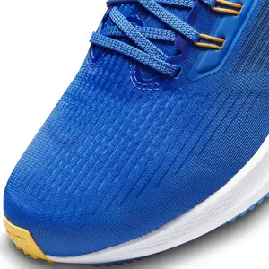 Nike College Pegasus 39 Road Running Shoes