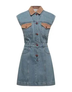 Philosophy Di Lorenzo Serafini Mini Flared Dress