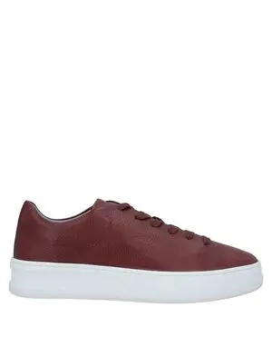 TOD'S Sneakers In Leather Cocoa