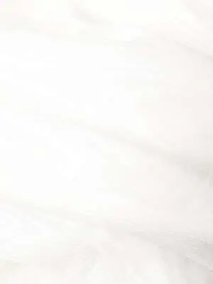 Philosophy Di Lorenzo Serafini Asymmetric Mini Dress