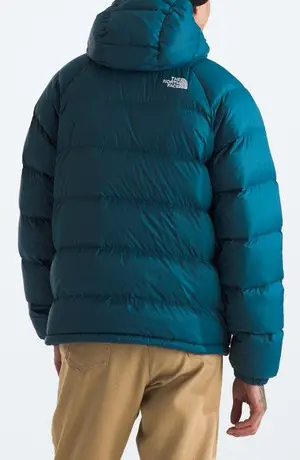 The North Face Hydrenalite 600 Fill Power Down Hooded Jacket - Midnight Petrol