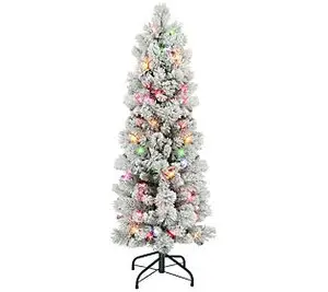 PULEO INTERNATIONAL Puleo 4.5' Flocked Portland Pine Pencil Tree Wi Th 195 Tips - One-color