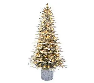 PULEO INTERNATIONAL Puleo 6' Prelit Potted Flocked Arctic Fir Tree - One-color