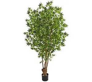 NEARLY NATURAL 6' Maple Artificial Tree By - One-color