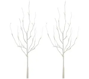 EVERLASTING GLOW S/2, 39.76-in B/o Illuminated White Branch, Tim Er Gerson Co - One-color