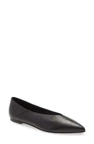 AeydĒ Moa Pointed Toe Flat