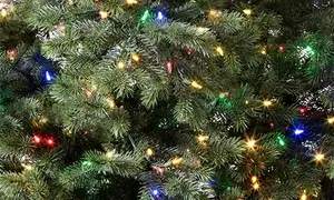 BALSAM HILL Yukon Spruce Pre-lit Artificial Tree