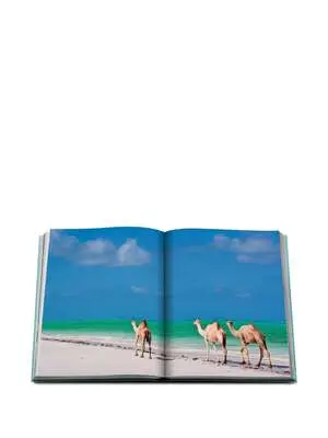 Assouline Red Sea: The Saudi Coast Book