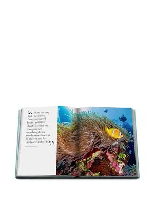 Assouline Red Sea: The Saudi Coast Book
