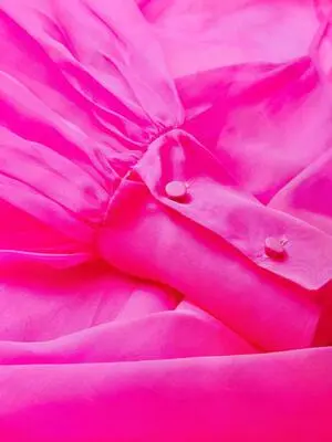 Valentino Garavani Bow-detail Organza Silk Blouse