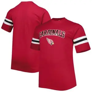 Profile Arizona S Big & Tall Arm Stripe T-shirt