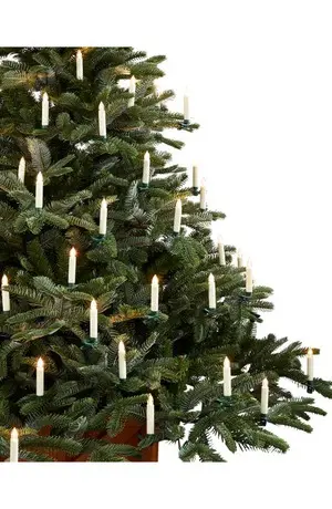 BALSAM HILL Set Of 20 Clip-on Candles