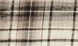 Lucky Brand Cloud Plaid Tunic Shirt