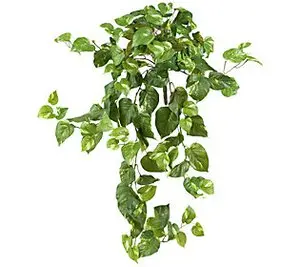 NEARLY NATURAL Pothos Hanging Bush Set Of 3 By - One-color
