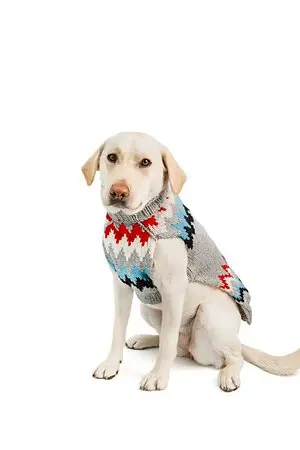 CHILLY DOG Chevron Dog Sweater