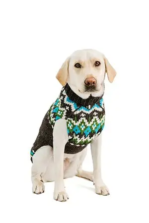 CHILLY DOG Fairisle Dog Sweater - Grey