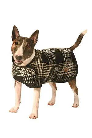 CHILLY DOG Plaid Dog Blanket Coat - Black