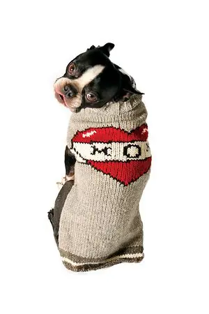 Women's Dog Sweaters