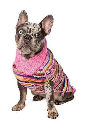 CHILLY DOG Multi Dog Sweater