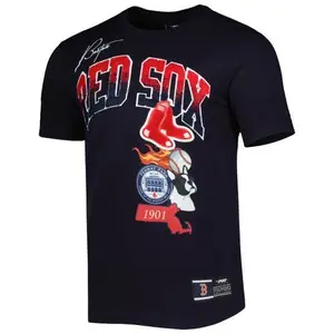 PRO STANDARD Boston Red Sox Hometown T-shirt
