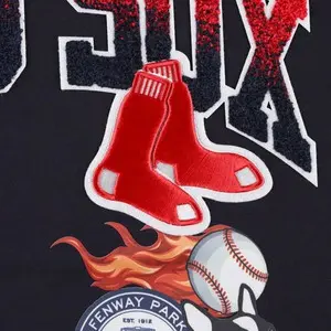 PRO STANDARD Boston Red Sox Hometown T-shirt