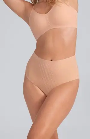 HONEYLOVE Silhouette Shaping Briefs - Rose Tan