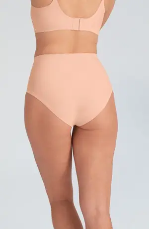 HONEYLOVE Silhouette Shaping Briefs - Rose Tan