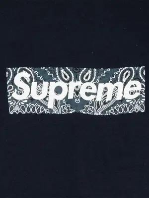 Supreme Bandana Box Logo T-shirt