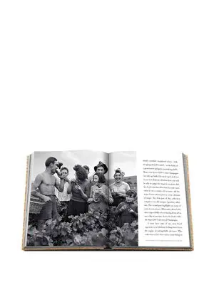Assouline The Impossible Collection Of Champagne
