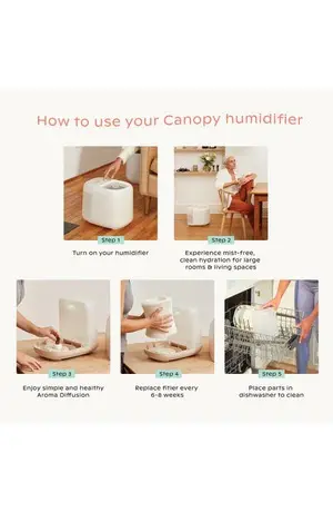 CANOPY Large Room Humidifier Starter Kit