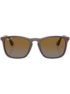 Ray-ban Wayfarer Frame Sunglasses - Brown