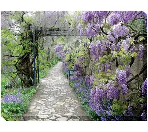WEST OF THE WIND Outdoor Canvas Art Wisteria Pa Th 40' X 30 - One-color