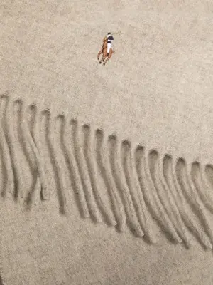 Polo Ralph Lauren Embroidered-logo Fringed Scarf - Neutrals