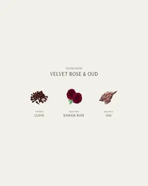 Jo Malone Velvet Rose And Oud Cologne Intense - One-color