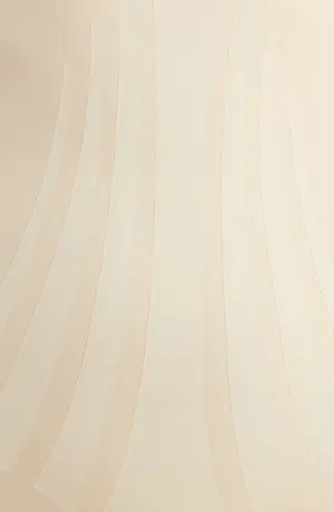 Miraclesuit Modern Miracle™ High Waist Shaping Briefs - Warm Beige
