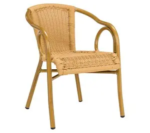 SAFAVIEH Dagny Arm Chair