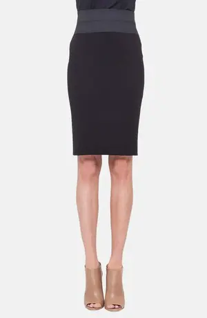 Akris Stretch Skirts
